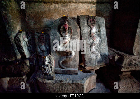 Snakes carved in doddabasappa temple at dambal gadag, Karnataka, India ...