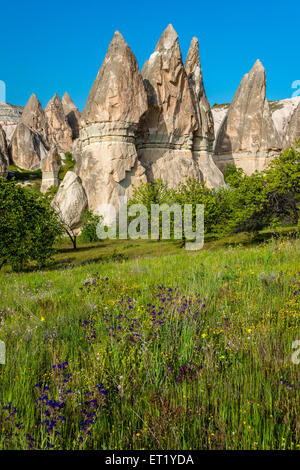 Rock formation, Fairy Chimneys, Cappadocia, Turkey, Unesco World ...