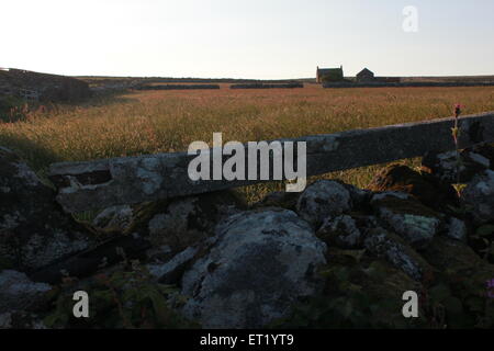 fields and herdges in penwith west cornwall Stock Photo - Alamy
