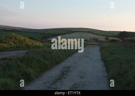 cornish hedges in penwith cornwall at sunset Stock Photo - Alamy
