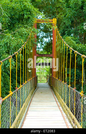 Suspension bridge, karnataka, india, asia Stock Photo - Alamy