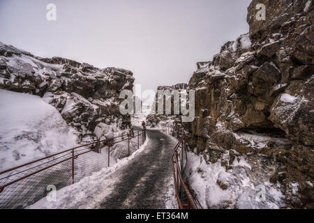 Mid-Atlantic Ridge, Almannagja Fault, Thingvellir National Park ...