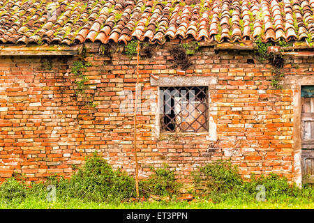 Window with lozenge shaped rusty grate and old wood door in brick wall ...