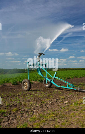 Irrigation of a potato field Stock Photo - Alamy