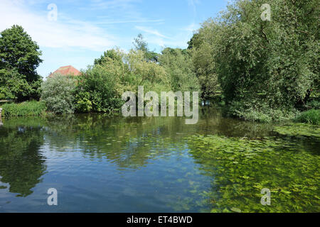 River Colne from bridge in Castle Park, Colchester, Essex Stock Photo ...