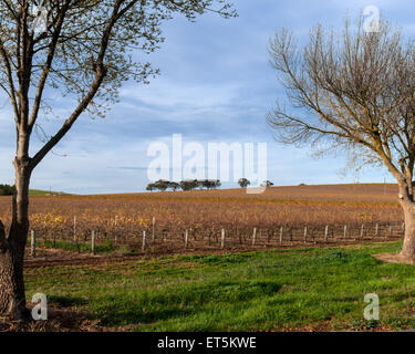 Tanunda in the Barossa Valley, brown metal welcome to Tanunda sign by ...