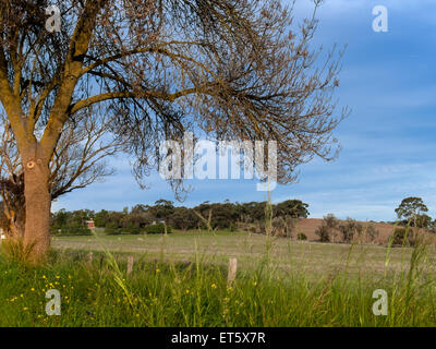 Tanunda in the Barossa Valley, brown metal welcome to Tanunda sign by ...