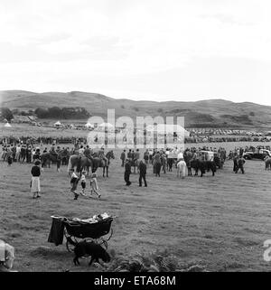Lorn Agricultural Society Show at Saulmore Park, Oban, Argyll and Bute ...