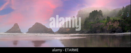 Beach at Devils Elbow State Park and Cape Creek Bridge designed by ...