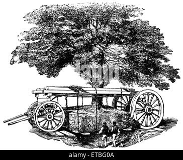 in london park the white tree and blossom flowers natural Stock Photo ...