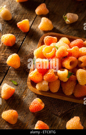 Raw Organic Orange Sunshine Raspberries Ready to Eat Stock Photo - Alamy