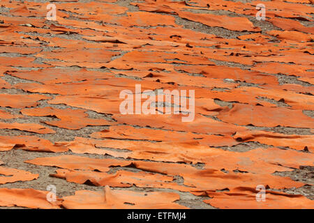 Tanneries Leather drying. Hazaribagh toxic leather tannery in Dhaka ...