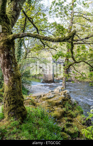 Bridge at Badgers Holt Stock Photo: 31374699 - Alamy