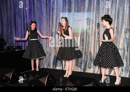 Help Harry Help Others charity ball at The International Conference ...