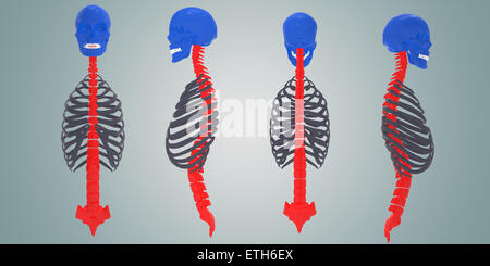 human skeleton parts anatomy 3d illustration Stock Photo - Alamy