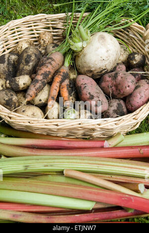 Dirty red & white potatoes, turnip & carrots, rhubarb, berries and ...