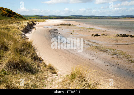 Sandy beach at low tide, Budle Bay, Northumberland, England, UK Stock ...