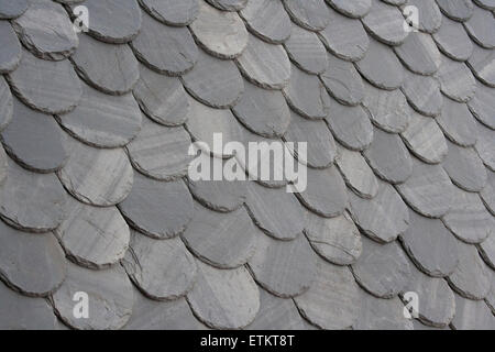 Old slate roof tiles with rounded edges in close-up Stock Photo - Alamy