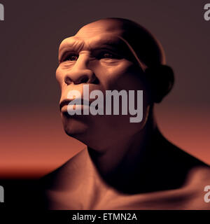 Depiction of a Homo Erectus, an extinct genus of hominids and ancestor ...