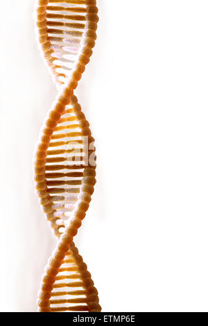 DNA structure model on white Stock Photo - Alamy
