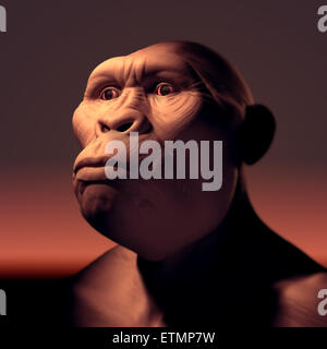 Depiction of an Australopithecus, an extinct genus of hominids and ...