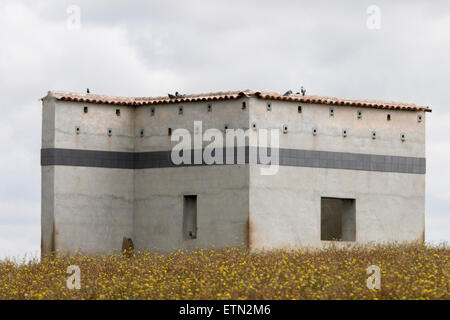 Birdwatching bird observation Bird watching hut camouflage photographer ...