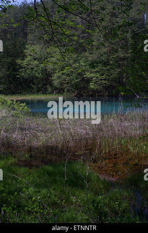 View of Goshiki-numa lake, Fukushima Prefecture, Japan Stock Photo - Alamy