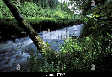 Ambleve river, Belgium, Wallonie, Ardennes Stock Photo - Alamy