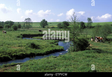 BEL, Belgium, Eastbelgium, the river Our near the village Ouren, at ...