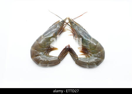 Raw / fresh shrimp / prawn / seafood / shellfish Stock Photo - Alamy