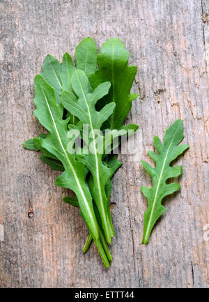 Green fresh ripe Rocket leaves Stock Photo - Alamy