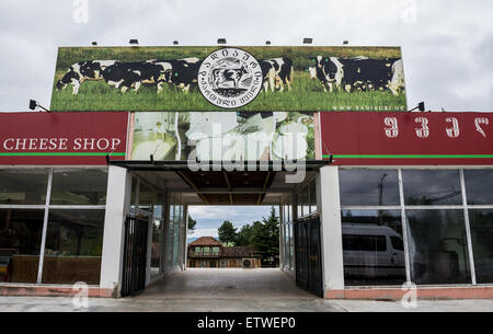 cheese shop in Badiauri Farm - agricultural facility in Kakheti Region ...