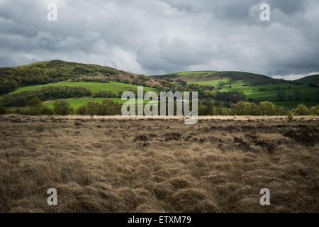 Cors Caron Nature Reserve Tregaron Ceredigion finest example of a ...