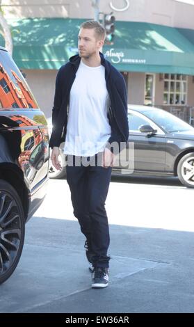 Calvin Harris goes shopping in Hollywood Featuring: Calvin Harris Where ...