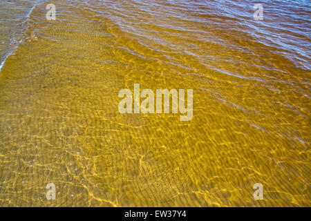 Yellow ocean water discolored by clean sediments from the Atran river ...