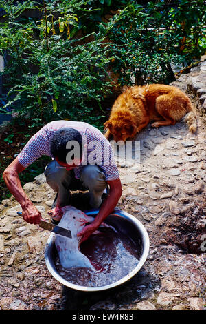 China, Fujian province, Tian Luokeng village, Tulou mud house. well ...