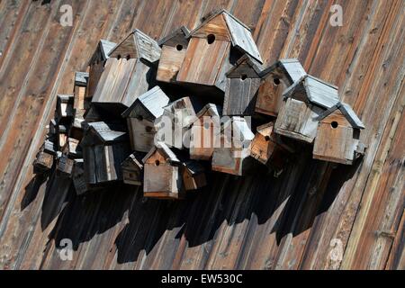 Birdhouses, Germany, city of Füssen, 03. June 2015. Photo: Frank May ...
