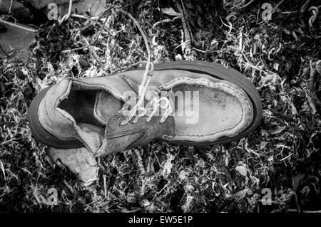 old shoe washed up on the shore Stock Photo - Alamy