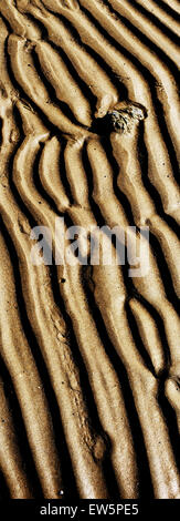 Wet sand groove formations at the shore line. Panoramic 95 Degrees in ...