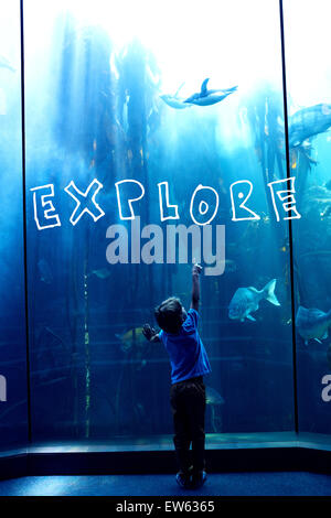 Composite image of explore Stock Photo - Alamy