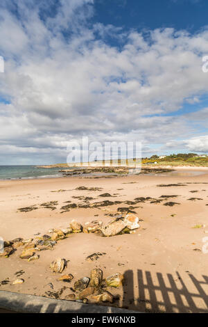Hopeman village Moray Coast Scotland colourful beach huts or chalets ...