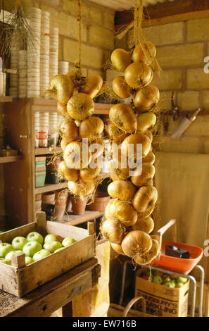 wooden,garden,shed,sheds,gardens,gardening,hut,attractive,garden ...