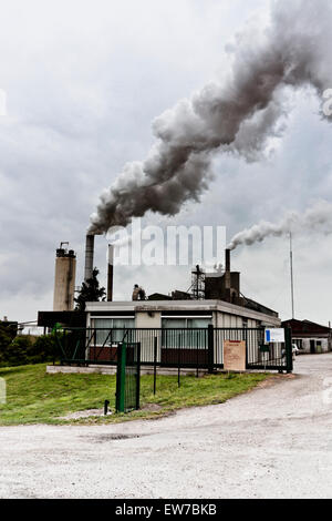 Sugar beet pulp, horse feed, concentrated feed, molasses, pellets ...