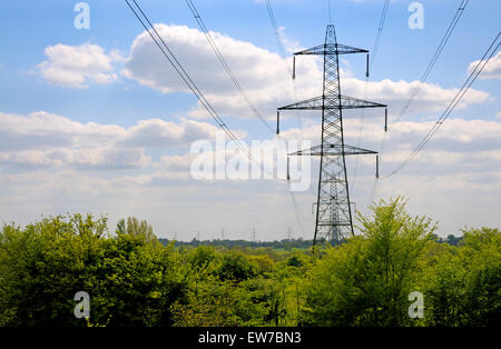 Norfolk, England, UK. Power lines and pylons across a field Stock Photo ...