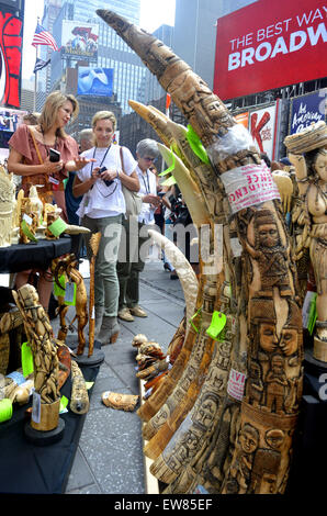 Confiscated ivory items are seen before being crushed at Times Square ...