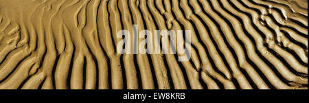 Wet sand groove formations at the shore line. Panoramic 125 Degrees in ...