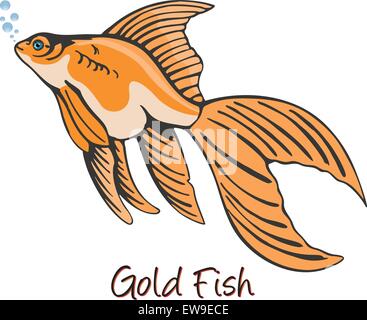 Goldfish, Color Illustration Stock Vector Image & Art - Alamy