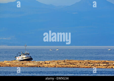 Tugboat pushing log boom in Georgia Strait, just north of Nanaimo ...