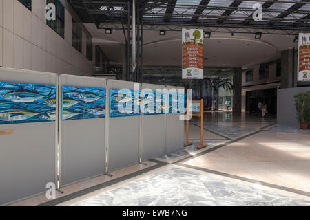 Entrance hall at the FAO headquarters in Rome, Italy Stock Photo - Alamy
