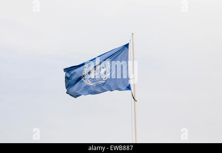 flag of the UNO UN United Nations symbol of peace Stock Photo - Alamy